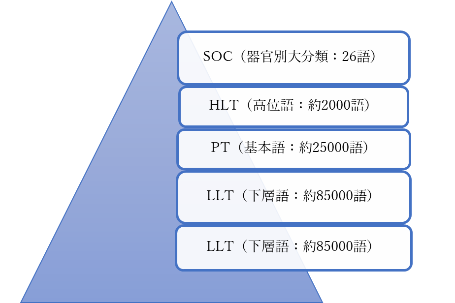 MedDRAとは～導入編～ | MTSブログ